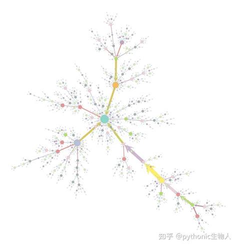 如何做出漂亮的复杂网络关系图？ 知乎