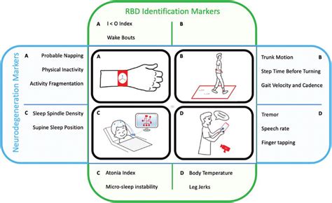 Identification Markers Are Used To Discriminate Rbd From Other Sleep