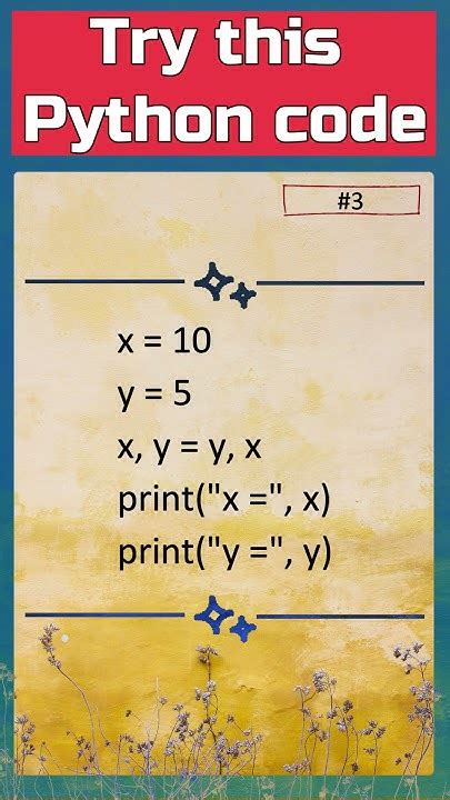 3 Try This Python Code Python For Beginners Interview Questions