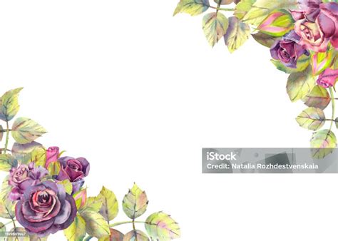 어두운 장미 녹색 잎 구성의 꽃입니다 수평 프레임 방향 결혼식 꽃의 개념입니다 꽃 포스터 초대장입니다 인사말 카드 또는 초대장의 디자인에 대 한 수채화 조성 0명에 대한