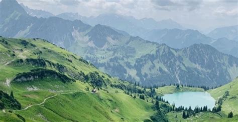 React 单元测试实例：快速上手指南腾讯新闻