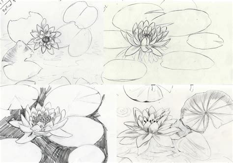 Weekly Doodles And Tuts How To Draw A Water Lily Method 1