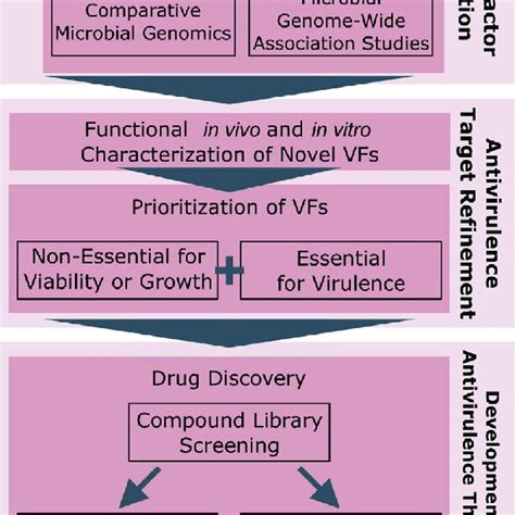 An Integrated Antivirulence Drug Development Workflow From Drug Target