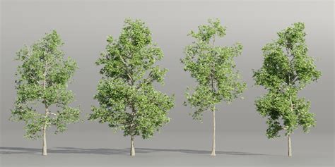 Trees Collection Vol 189 Blender Blender Market