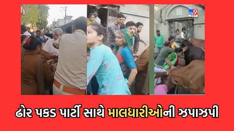 Rajkot Rmc ઢોર પકડ પાર્ટી સાથે માલધારીઓએ કરી બબાલ ગાયત્રીનગરમાં