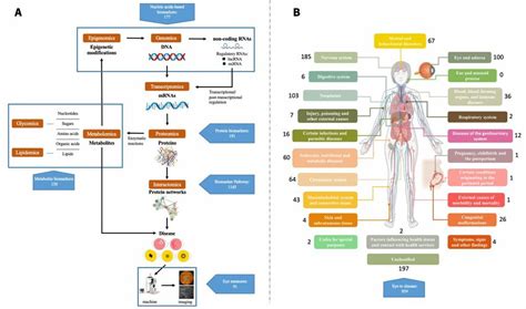 Data Summary Of The Ebd A Ebd Includes 889 Biomarkers For 26 Eye
