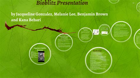 Scleroderma Fungus By On Prezi