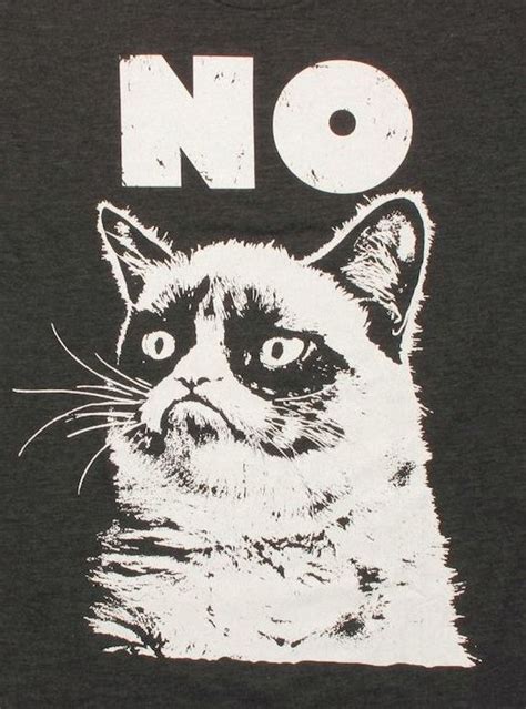 Grumpy Cat Says No