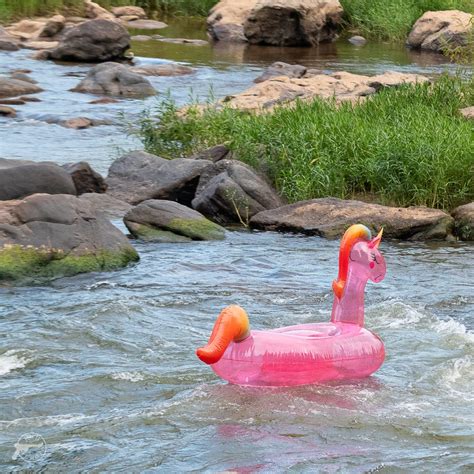 Pipeline Float 30 1 RVAHub