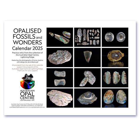 Opalised Fossils And Wonders Calendar 2025 — Australian Opal Centre