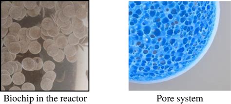 figure 1 from the biological treatment of laboratory sbr model with