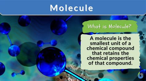 Molecule Definition What Is Dna Medlineplus Genetics