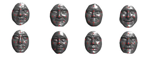 Landmark Assignment Results Based On The Geometricaltopological