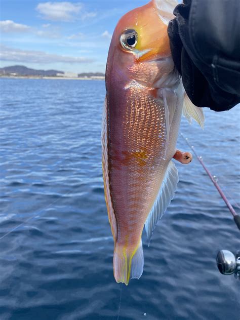 今期4戦目のアマダイ釣り納め！ 釣り具販売、つり具のブンブン