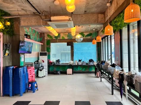 양양 서핑 And 숙소 추천 양리단길 와이비자로 파티까지 솔게스트하우스 네이버 블로그