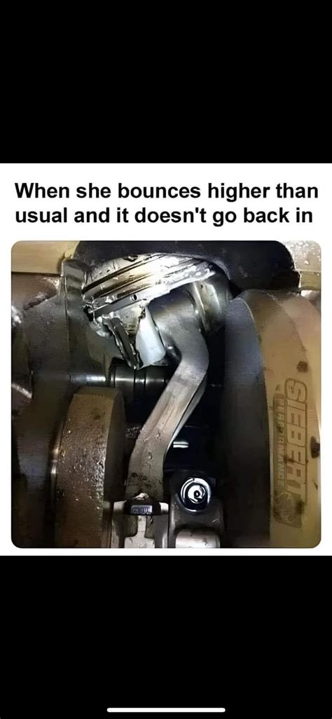 GREETINGS FELLOW HUMANS