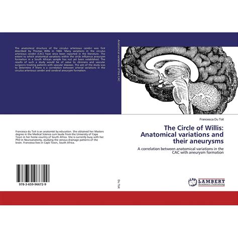 The Circle Of Willis Anatomical Variations And Their Aneurysms