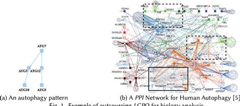 Figure 1 From A Framework For Privacy Preserving Localized Graph Pattern Query Processing