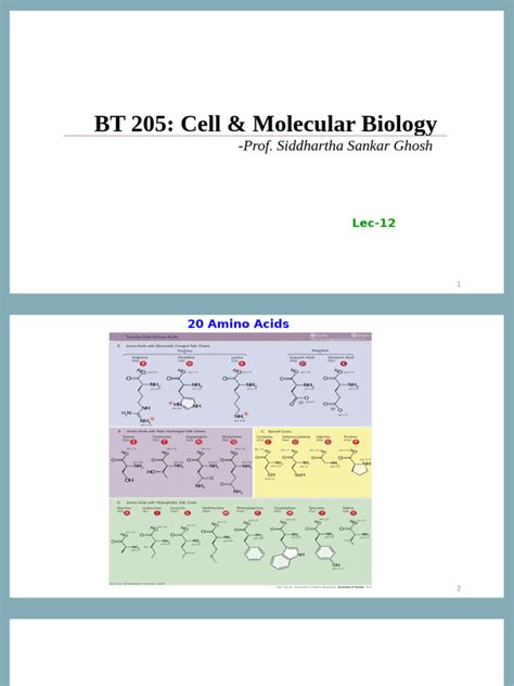 Lecture 12 28102024 On Gentic Code Pdf Genetic Code Amino Acid