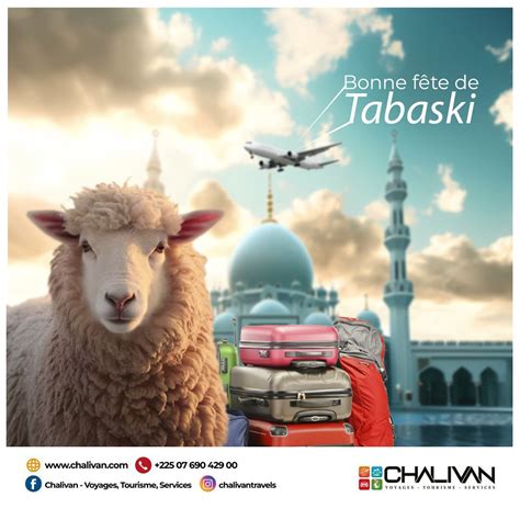 Chalivan Travels Chalivantravels • Instagram Photos And Videos