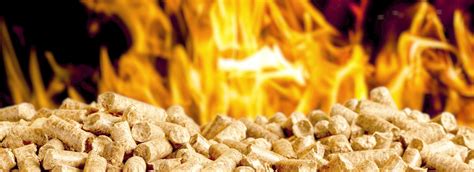 Τσιάργαλης Κωνσταντίνος And ΣΙΑ ΟΕ Εμπόριο Ξυλείας Στέγης Καυσόξυλα Πέλλετ Οικοδομικά