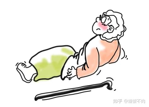 肩关节和髋关节的异同点 知乎