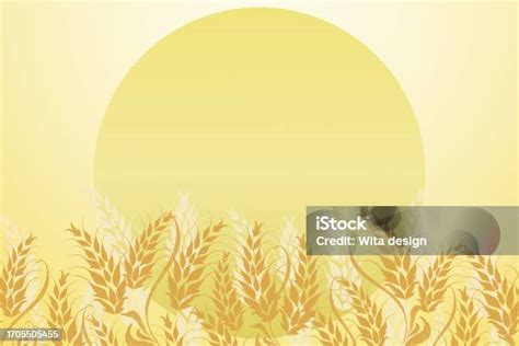 황금 밀 보리 프레임 테두리 배경입니다 밀 보리밭과 보름달 디자인은 수확 축제 맥주 축제 유기농 식품 복사 공간이 있는 농산물