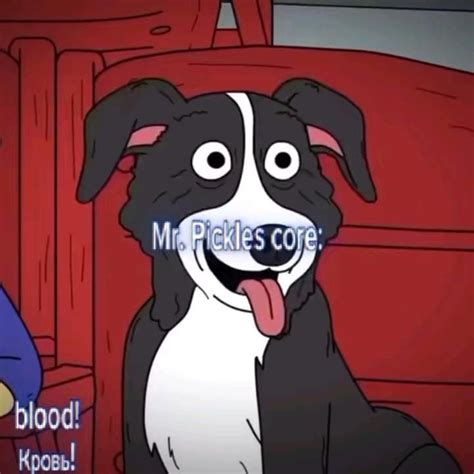 ‹𝟹 Mr Pickles ‼ 〰 Mr Pickles Memes Mr Pickles Show Edits Face Reveal