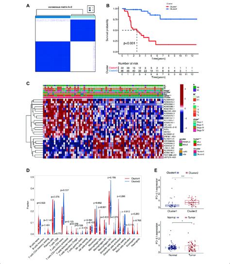 Consensus Clustering For The 79 ACC Patients Premised On The 26 Download Scientific Diagram