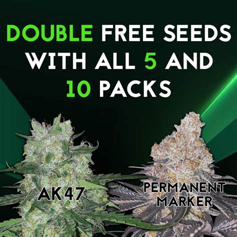 The 1 Canadian Autoflower Seed Bank Auto Seeds