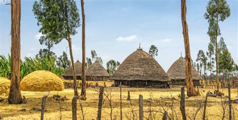 Learn Oromo Online Level 1 Edvantage E Cert