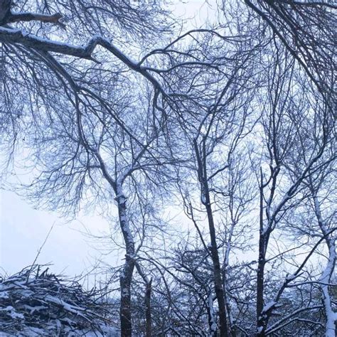 骨化三醇软胶囊进入集采不只利好绝经后骨质疏松，七种病都可用维生素治疗药物