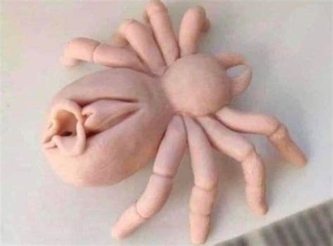Create Meme Modeling Crab Modeling A Spider From Plasticine Soft Toy Crab Pictures Meme