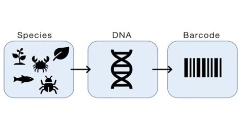 Microbial Dna Barcoding Assignment Point