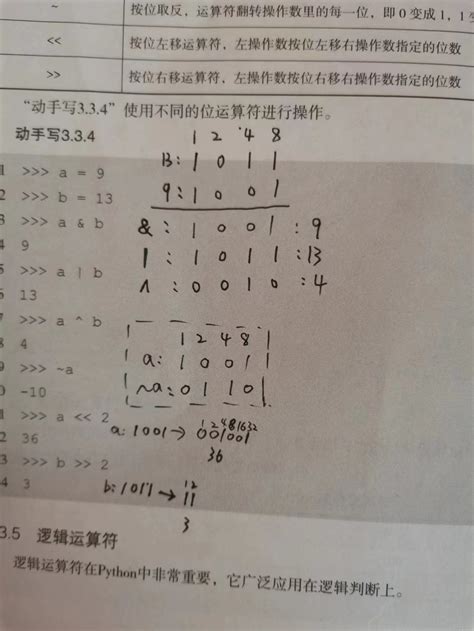 进制的底层逻辑规则 左移＜＜ 右移＞＞ 取反加一 补位原则 正负数 相反数等 文章中含验证源码 阿里云开发者社区