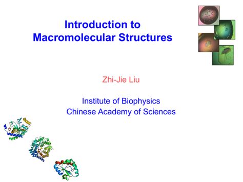 Introduction To Macromolecular Structures