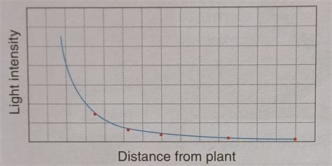 Rate Of Photosynthesis Revision Science