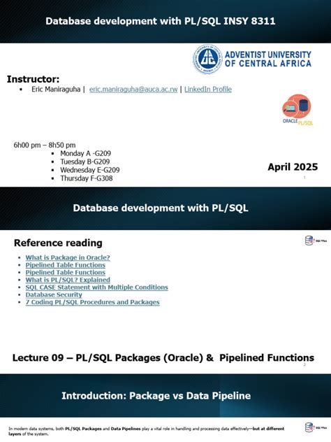 Lecture 09 Plsql Packages And Oracle Pipelined Functions Pdf Plsql Parameter Computer