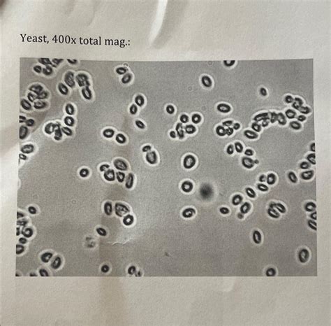 lab manual exercise 1 review the following images