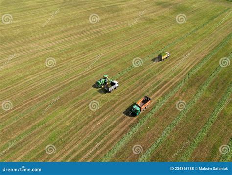 Grass Cutting Process Worker Cutting Grass With Machine Editorial Photo