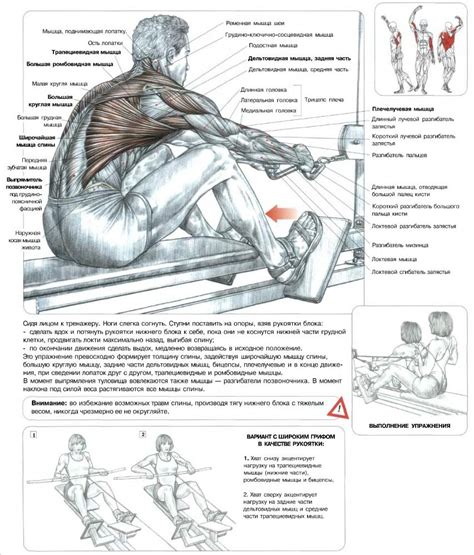 Комплексы упражнений в тренажерном зале