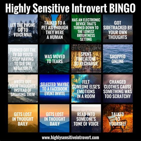 Highly Sensitive Introvert Bingo Introvert Problems Introvert How