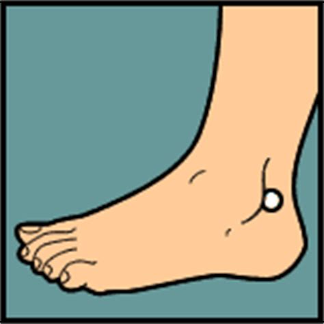 Rectum Acupressure PointFinder Mobile Enabled