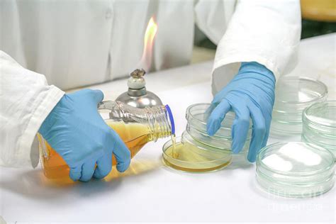 Pour Plate Plating Method Photograph By Tonaquatic Choksawatdikorn