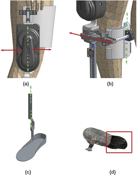 Combining Neural Stimulation And A Powered Exoskeletal Knee To Enhance