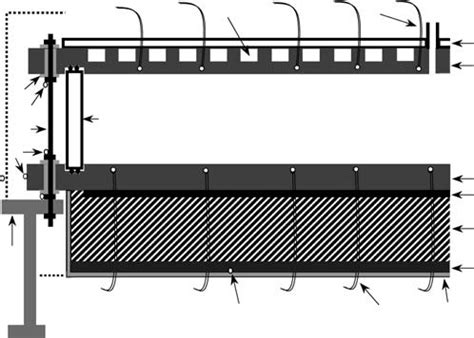 Schematic Diagram Of The Convection Cell See Text For Description Download Scientific Diagram