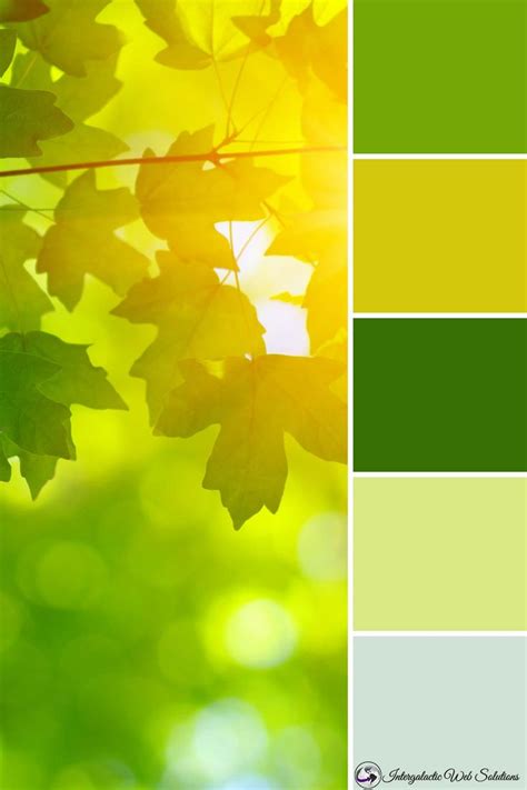 Fresh Spring Palettes Healthy Color Palette Spring Color Palette