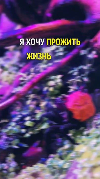 Прожить жизнь с одним человеком☝️ Youtube