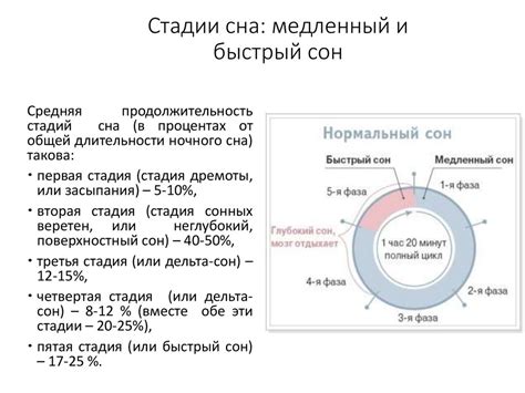 Психофизиология сна презентация онлайн