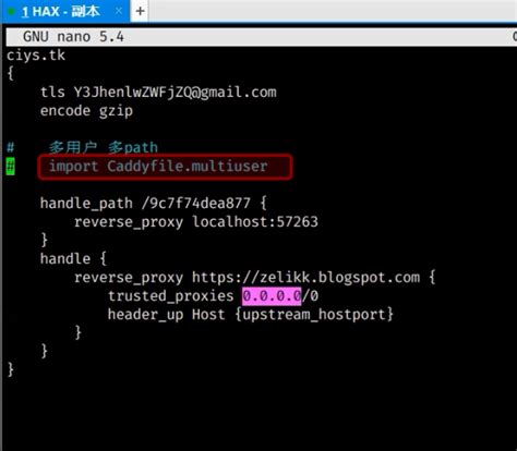 极简一键脚本 搭 V2Ray 梯子 VLESS WebSocket TLS Caddy v2 伪装反代网站 单模式 多path多用户